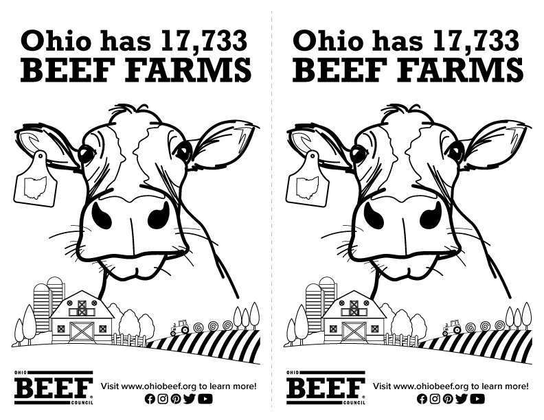 Ohio Beef Council Store