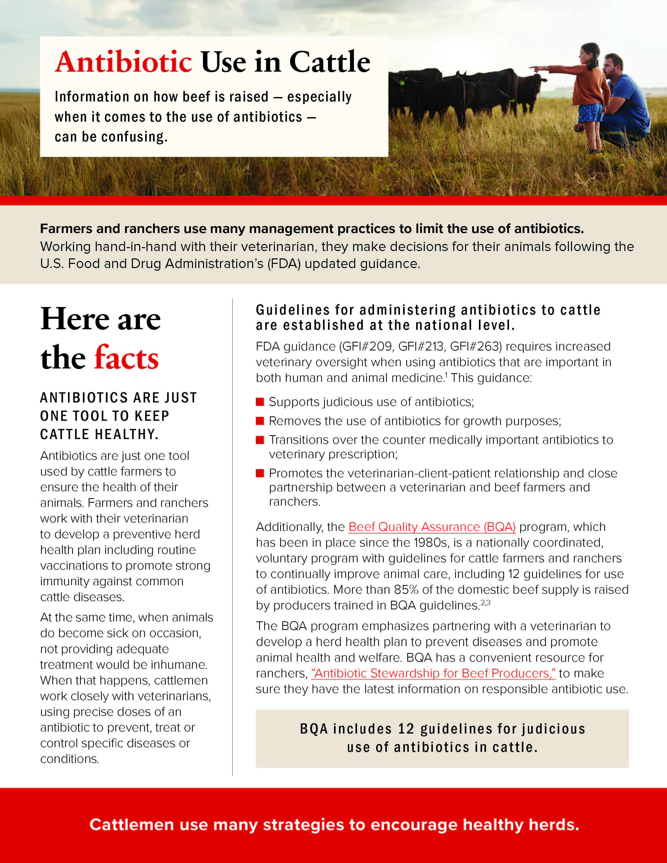 Ohio Beef Council Store