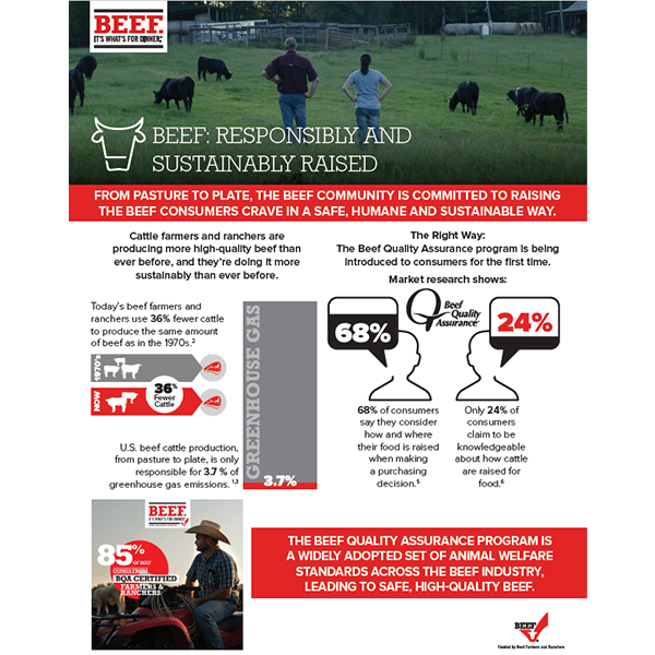 Ohio Beef Council Store