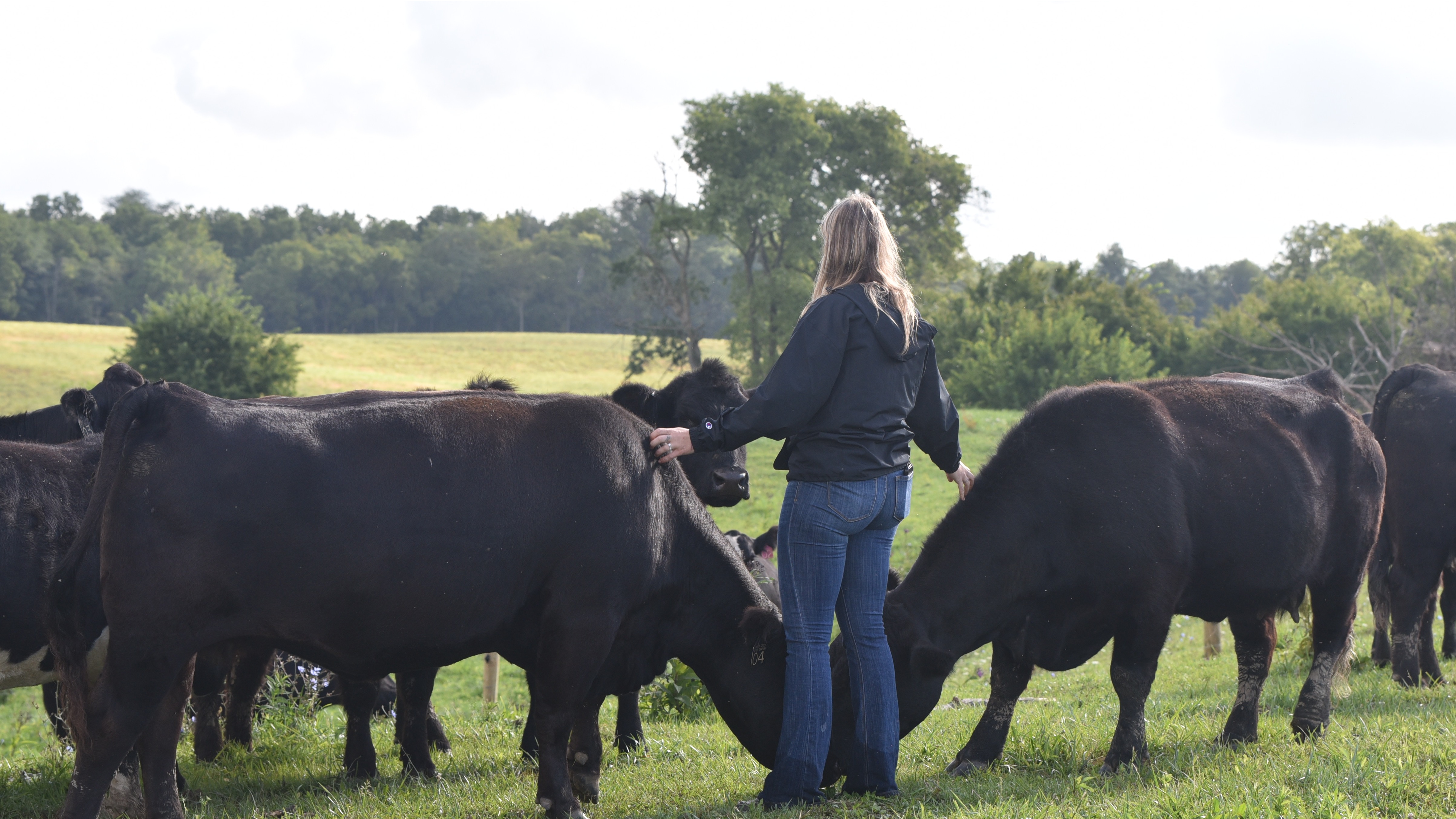 Dr. Hannah Jarvis Miller, DVM