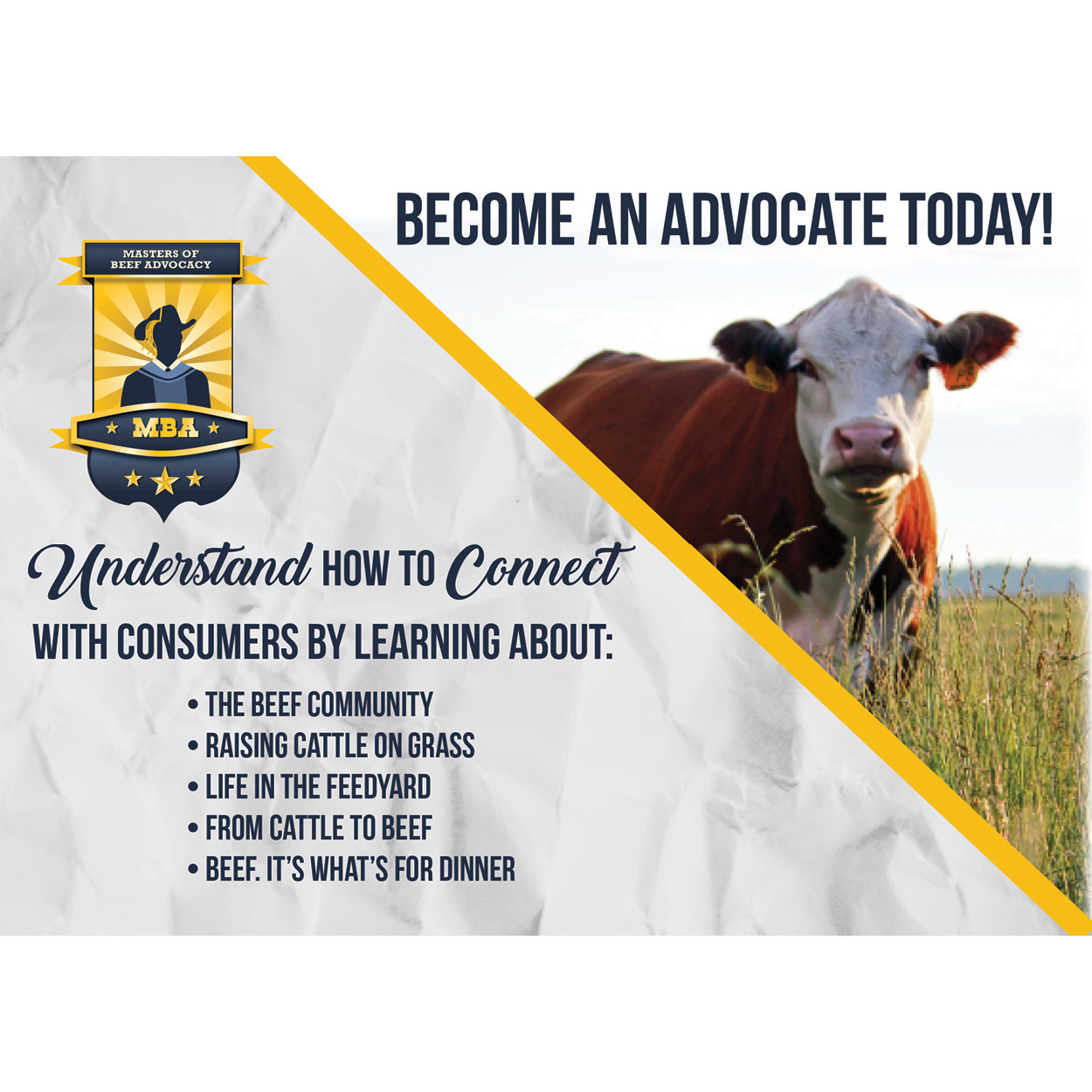 Ohio Beef Council Store